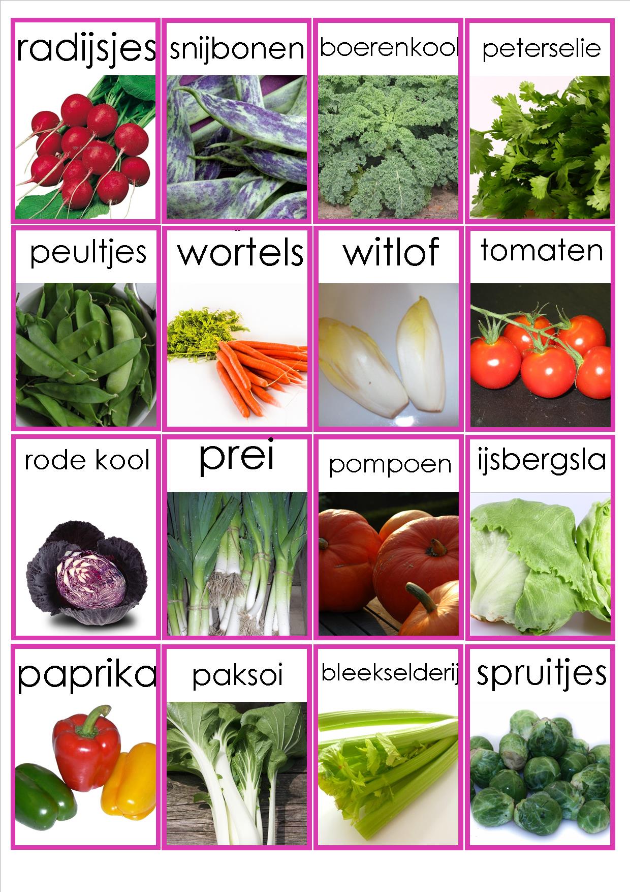 Memorie thema’s – Spelen en Leren