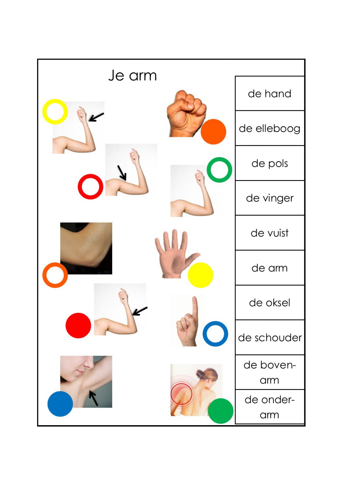 Pico Piccolo – Spelen en Leren